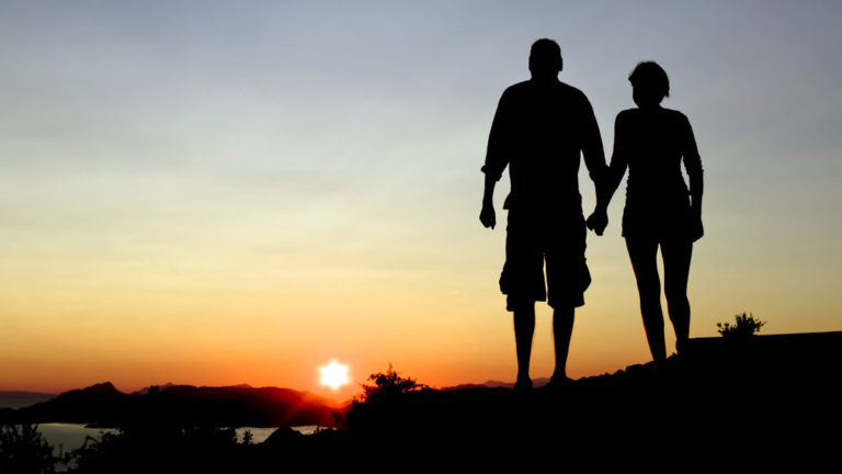 Company Highlights | Security Mutual Life Insurance Company of New York