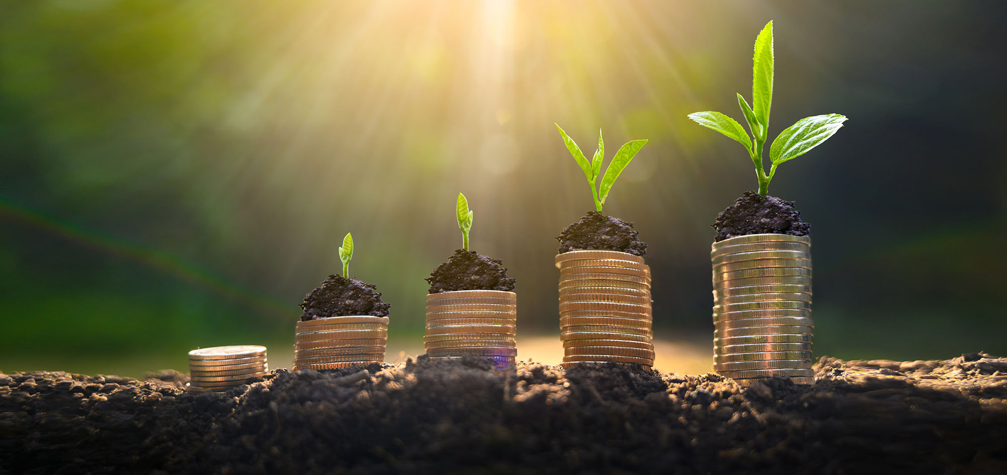 Welcome to Security Mutual Life Insurance Company of New York